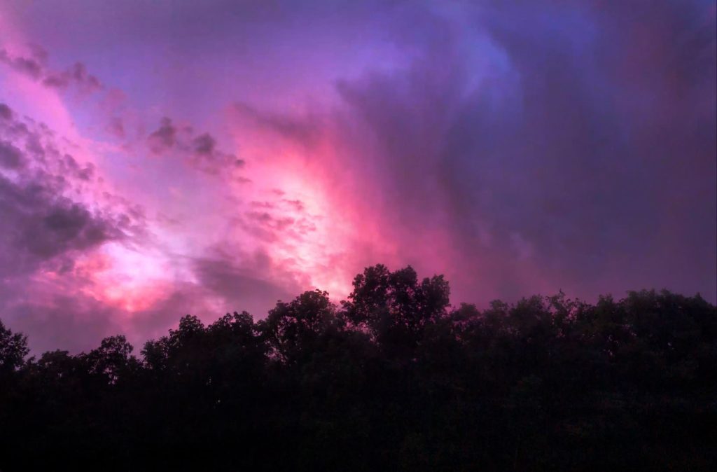 Does weather folklore, natural forecasters actually predict the weather ...